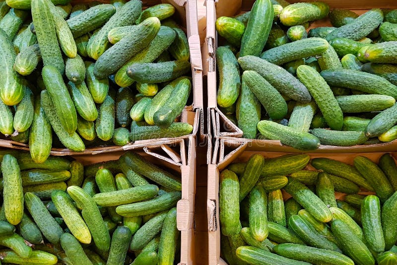 Cucumbers in Cardboard Boxes on the Market Stock Image - Image of heap ...