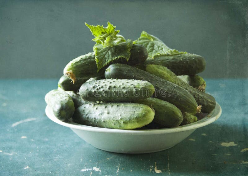 Cucumbers stock image. Image of table, bumps, still, cucumber - 32337787