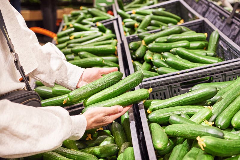 Cucumbers in Hands of Woman Buyer in Store Stock Photo - Image of ...