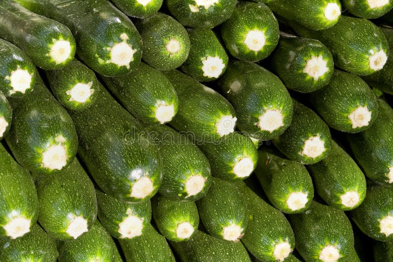 Cucumbers - Horizontal stock image. Image of farmers, squash - 6180679