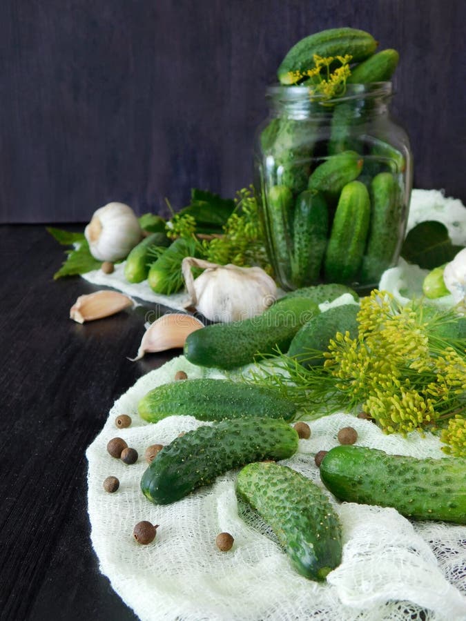 Cucumbers and Ingredients for Conservation Stock Photo - Image of dill ...