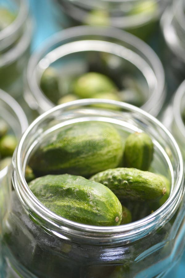 Cucumbers in a jar stock photo. Image of vegetable, preserve - 196422068