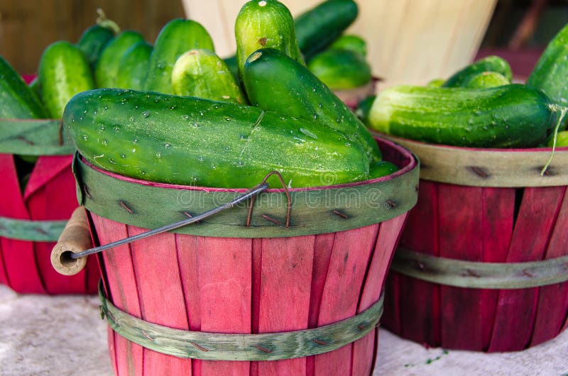 Cucumbers in red basket stock image. Image of vegetable - 43950511