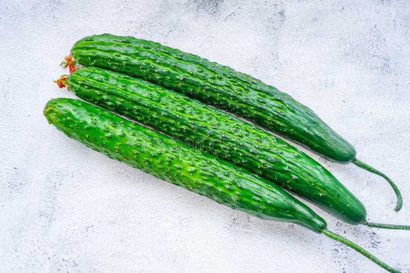Cucumbers are a Refreshing and Versatile Vegetable.they are Long and ...