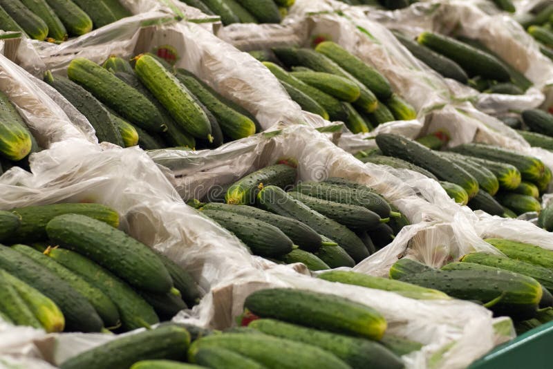 Cucumbers on Shelf in Store Stock Photo - Image of nature, lemon: 62316900