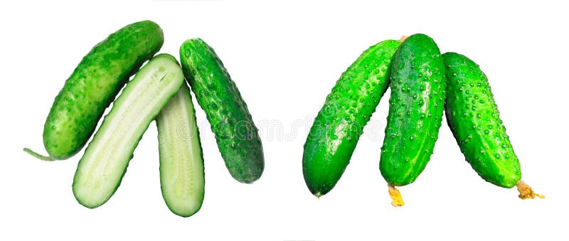 Cucumbers stock photo. Image of vegetables, isolation - 31698812