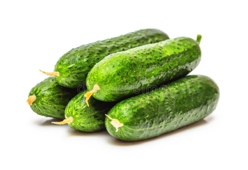 Bumpy Cucumbers Stock Photos - Free & Royalty-Free Stock Photos from ...