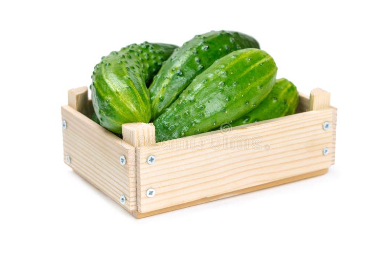 Cucumbers in a wooden box stock photo. Image of food - 39401892