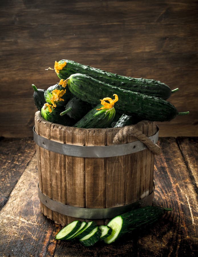 Cucumbers in a Wooden Bucket. Stock Photo - Image of agriculture ...