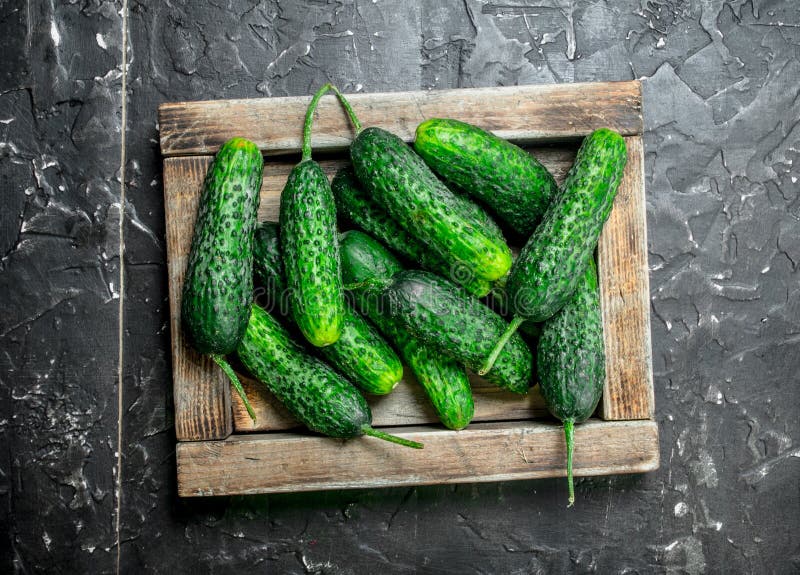 Cucumbers on a wooden tray stock image. Image of group - 141763011