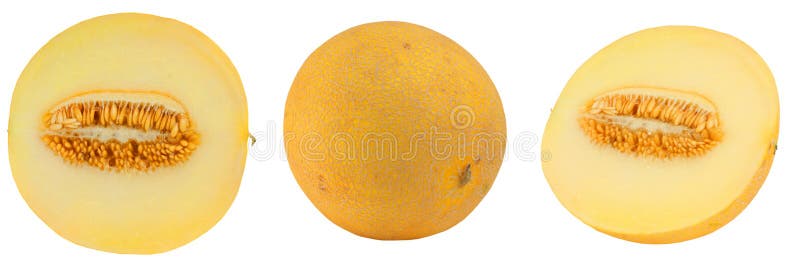 Cucumis Galiamelon Melo Reticulatus Var 库存照片 - 图片 包括有 甜甜, 果皮: 16112772