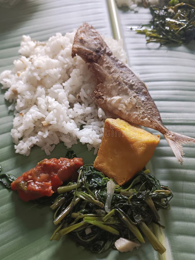 Cucurak stock photo. Image of fish, restaurant, curry - 266487690