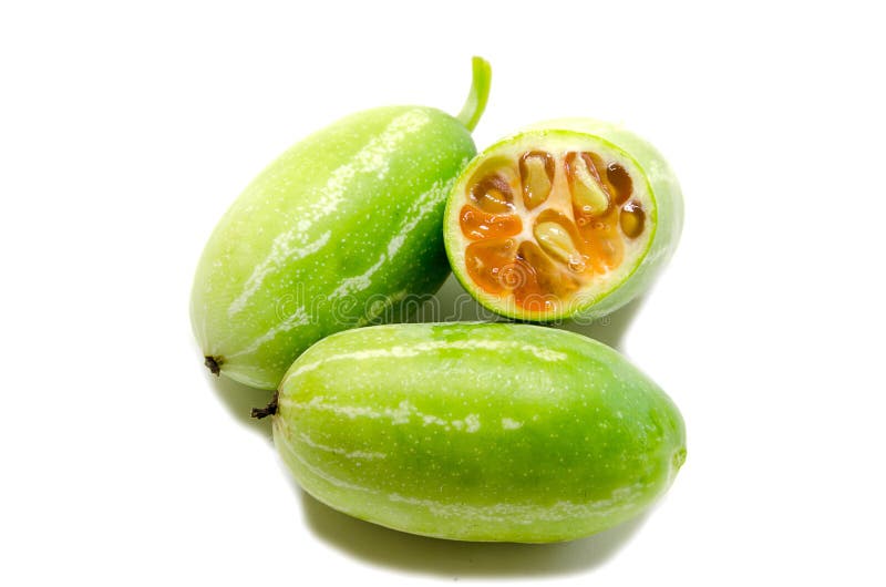 Cucurbitaceae stock photo. Image of plant, thailand, food - 75054826