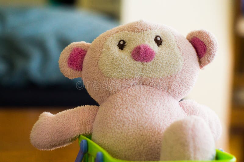 Cuddle toy stock image. Image of cuddletoy, bear, children - 98504315
