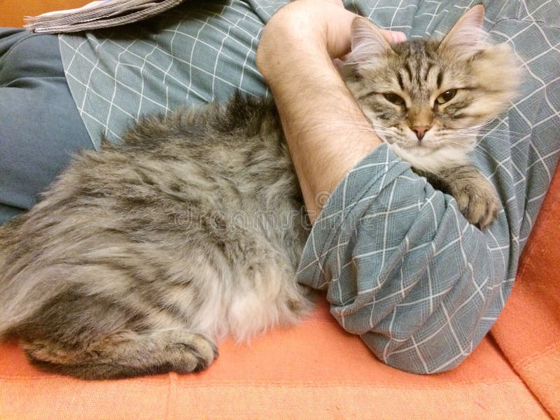 Cuddling time stock image. Image of house, family, home - 7500421