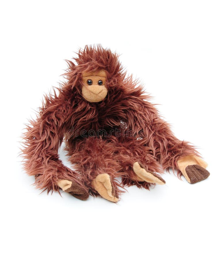 Cuddly monkey stock image. Image of soft, cuddly, monkey - 6771687