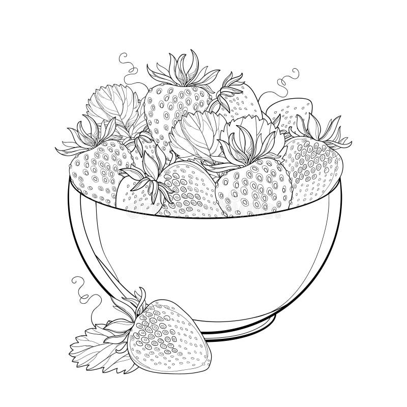 Fresa Cereza De Fresa Con Un Plano Dibujo Lineal Vectorial Para