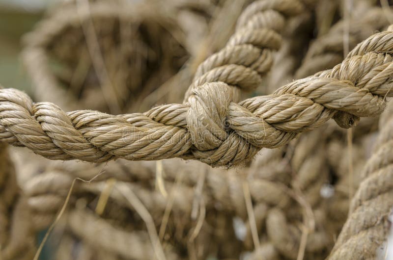 Cuerdas con el nudo imagen de archivo. Imagen de firmemente - 46592229