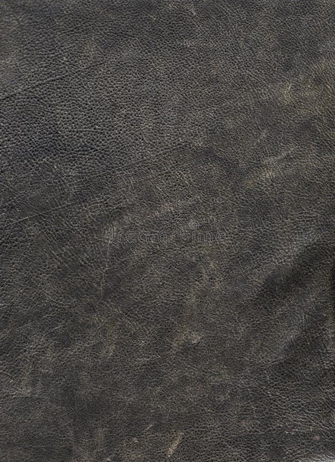 Cuero, rugoso foto de archivo. Imagen de densamente, fuerte - 1097920