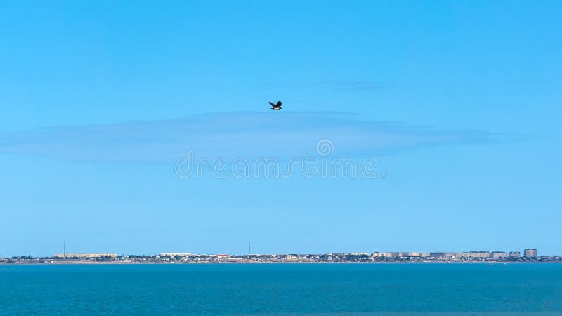 Cuervos Volando Sobre El Mar Imagen de archivo - Imagen de cuervo ...