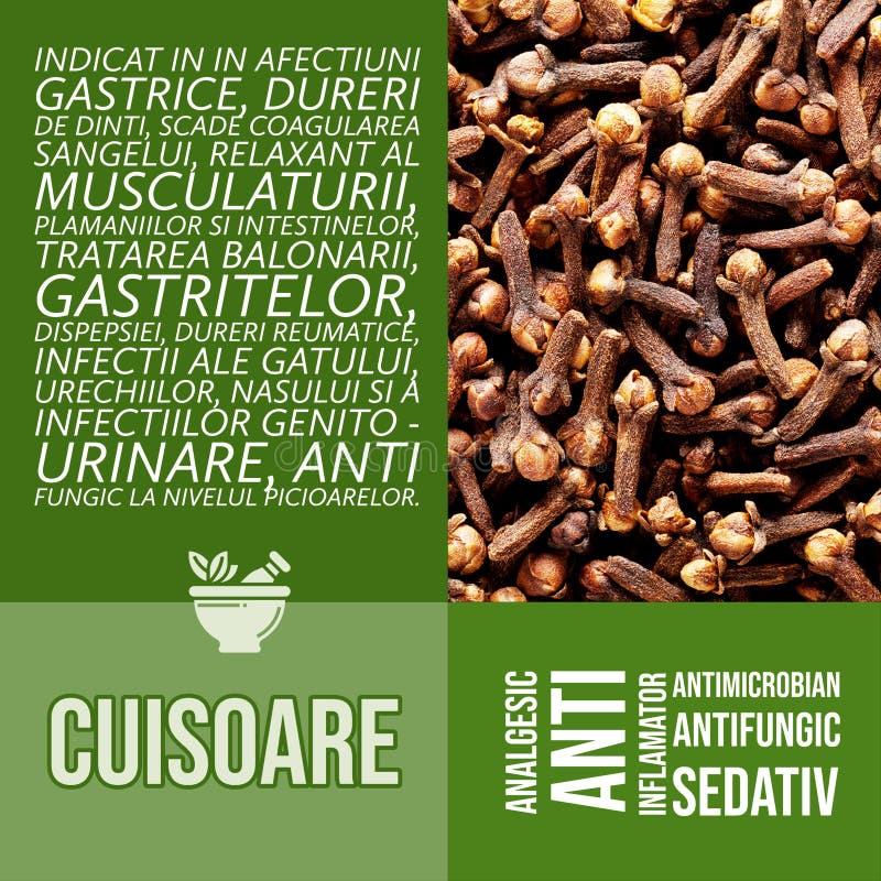 Cuisoare Stock Illustrations – 3 Cuisoare Stock Illustrations, Vectors ...