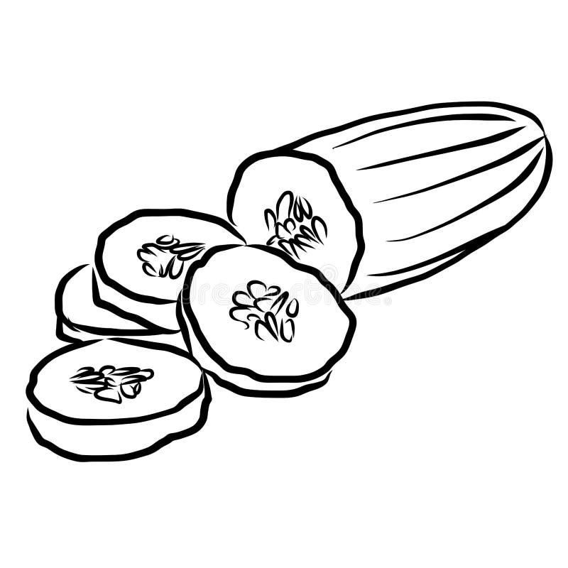 Cucumber Vegetables Drawing on Chalkboard Stock Vector - Illustration ...