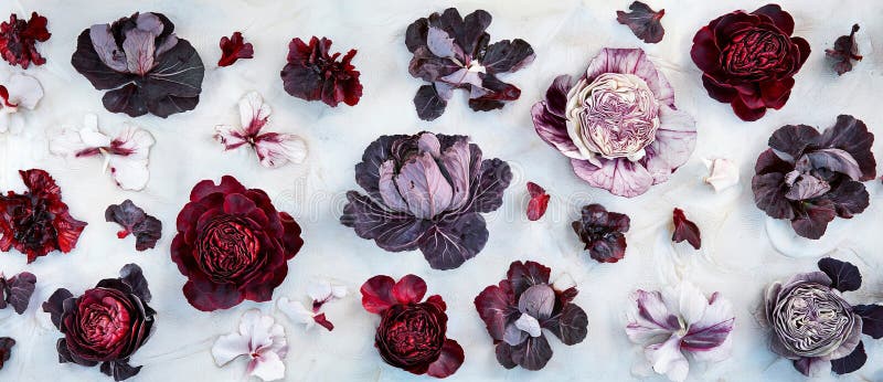 Culinary Delight Found in Vibrant Variety of Cabbages and Kale Stock ...