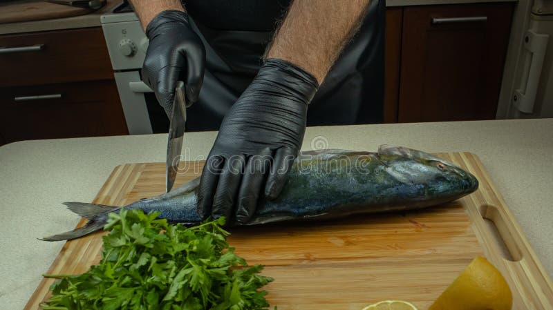 Culinary Preparation of Fish Stock Photo - Image of chef, gills: 232593336