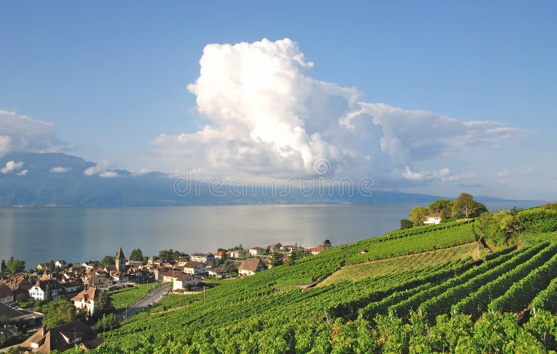 Cully,Lake Geneva,Switzerland Stock Photo - Image of destination ...