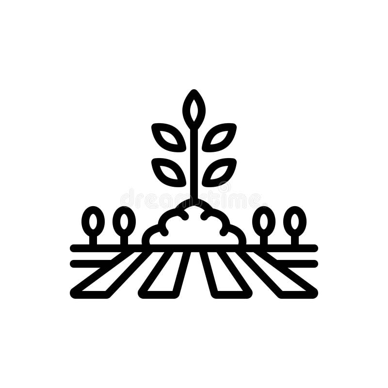 Black Line Icon for Cultivate, Sprout and Grains Stock Illustration ...
