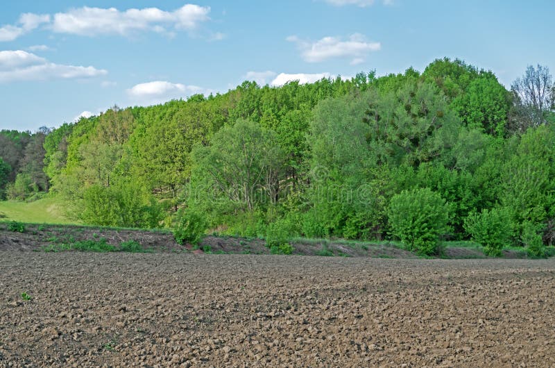 Cultivated Agricultural Land Stock Photo - Image of clouds, land: 88181046