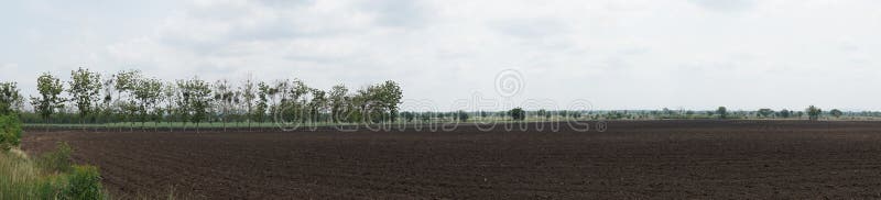 Cultivated Area in Panorama Stock Photo - Image of fertile, arable ...