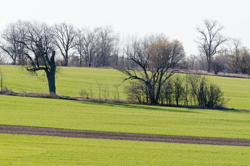 Cultivated farmers field stock image. Image of rural - 130103047