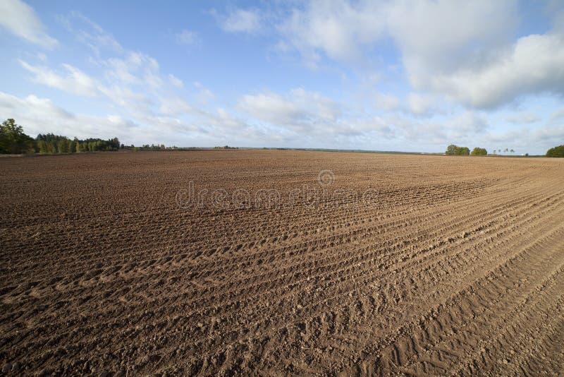 Cultivated field. stock image. Image of wide, texture - 21377143