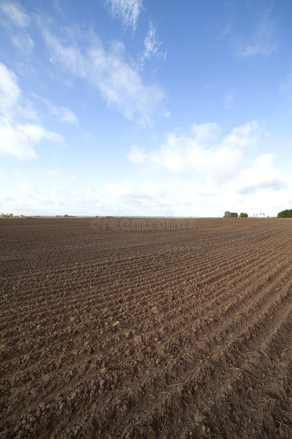Cultivated field. stock photo. Image of autumn, outdoor - 21377144
