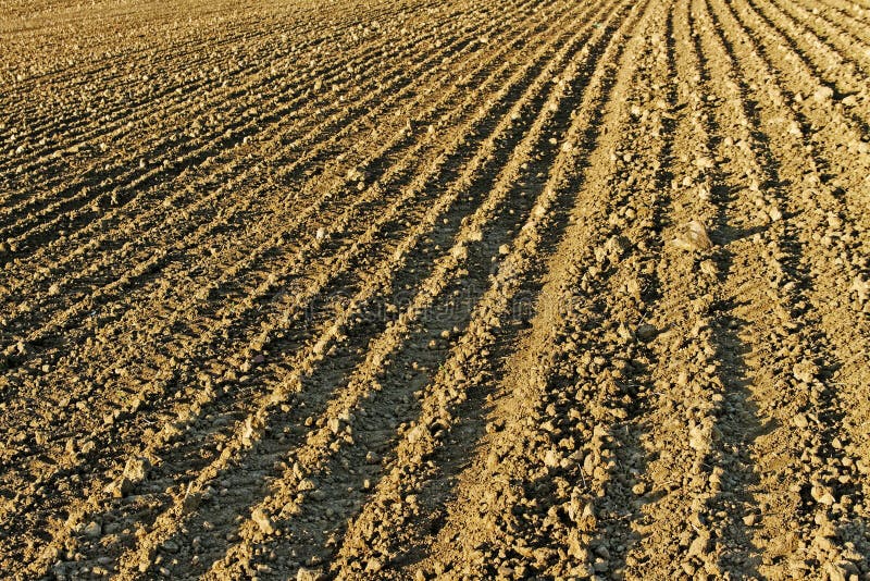 Cultivated field. stock image. Image of horizontal, plow - 23214647