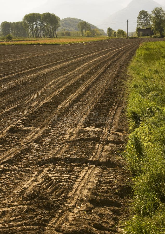 Cultivated field stock photo. Image of color, agriculture - 9179964