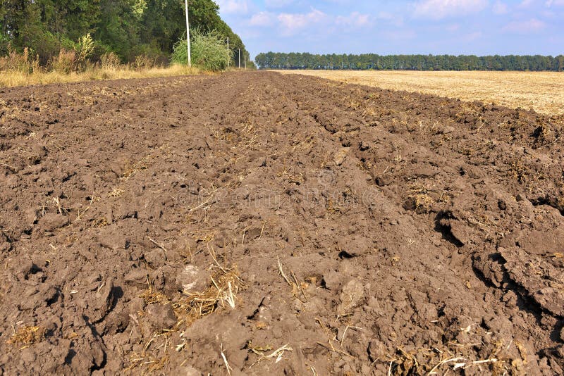 Cultivated field stock photo. Image of environment, land - 48492322