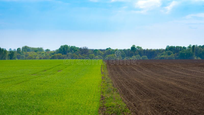 Cultivated field - border stock image. Image of farm - 90623429