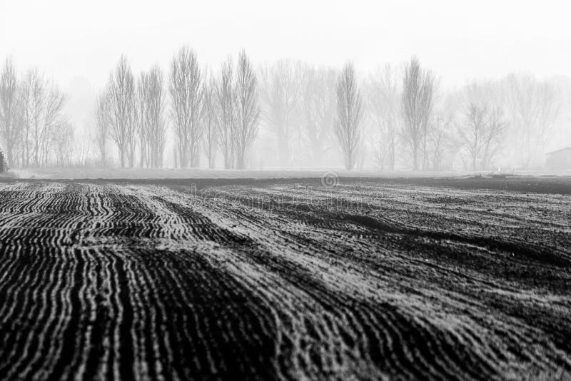 Distant trees stock photo. Image of distant, background - 1051914