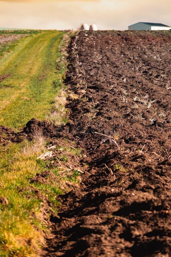 Cultivated Field Freshly Ploughed by Sunny Day Stock Image - Image of ...