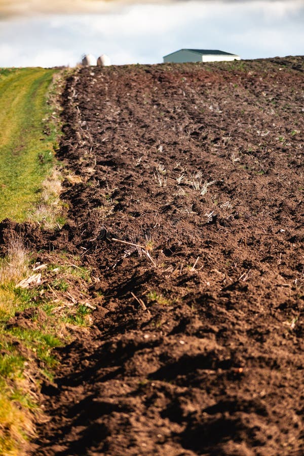 Cultivated Field Freshly Ploughed by Sunny Day Stock Photo - Image of ...
