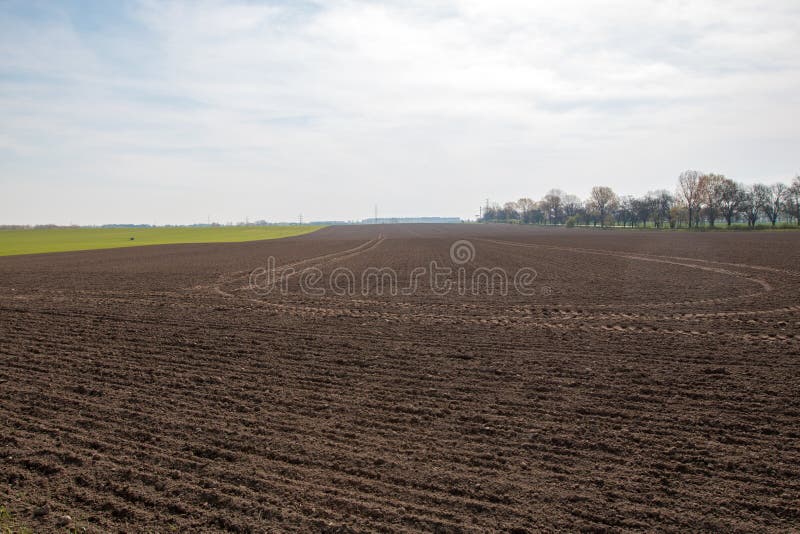 A Cultivated Field Growing Out of the Ground Stock Photo - Image of ...
