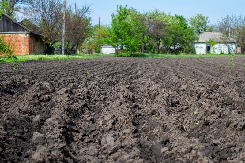 Cultivated field stock image. Image of agronomy, environment - 172856081