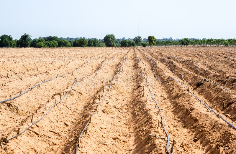 Cultivated field stock photo. Image of country, landscape - 42356384