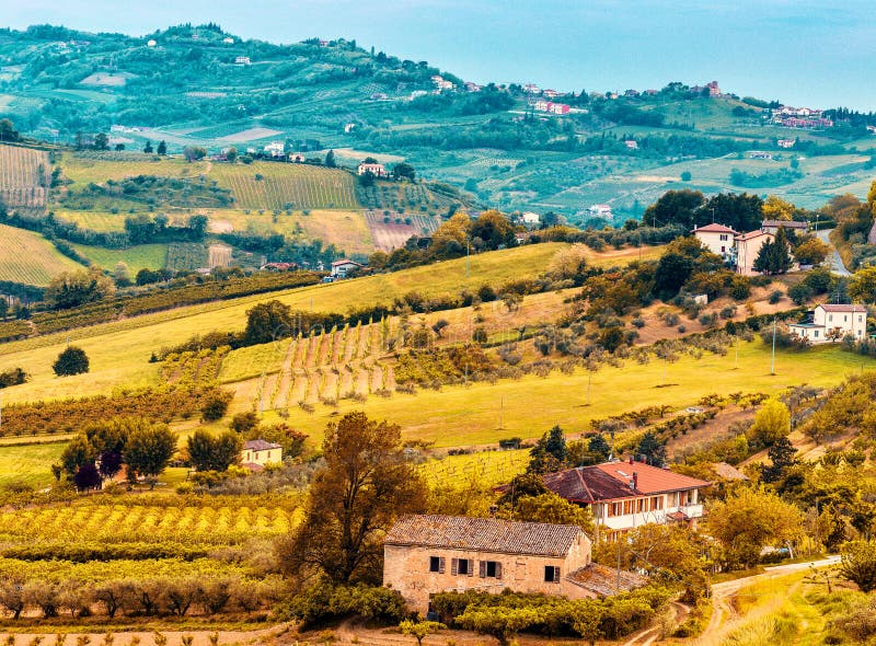 Cultivated Fields in the Hills Stock Photo - Image of hills ...