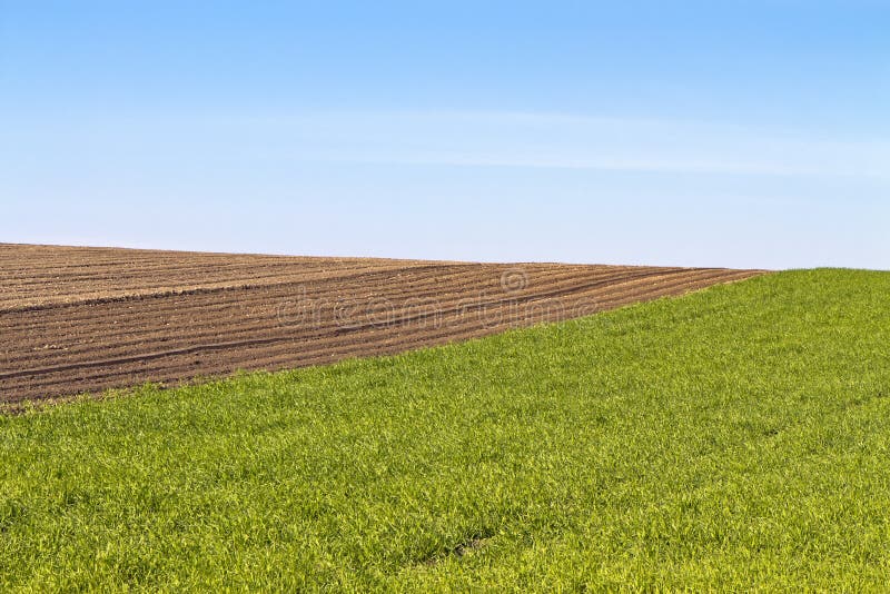 Cultivated land stock photo. Image of crop, field, grow - 24099238