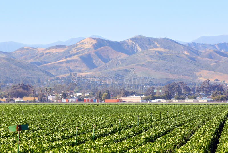 Cultivated land stock photo. Image of outdoor, horizon - 26641246