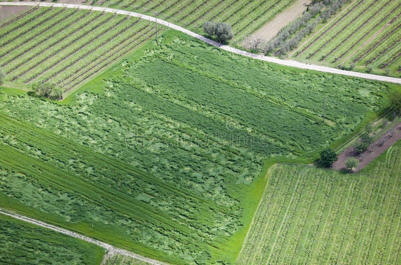 Cultivated land from above stock image. Image of land - 41083037