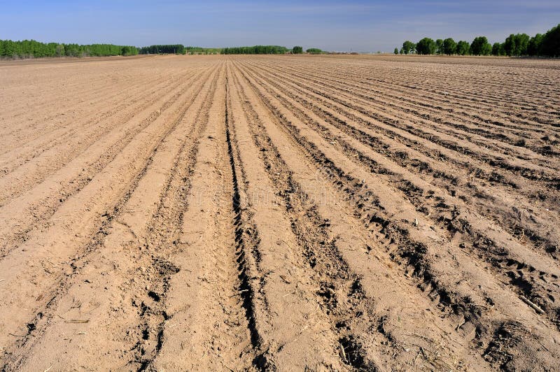 Cultivated Land and Ridges Sets Stock Photo - Image of environment ...